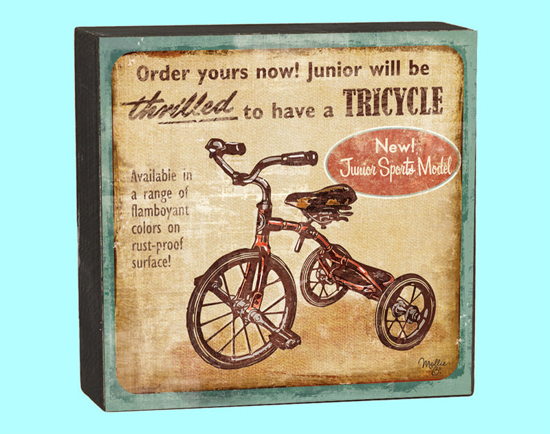 Tricycle Box - 18055 – Impressions2