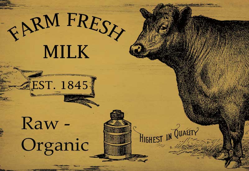 Fresh Organic Milk - 2439C – Impressions2