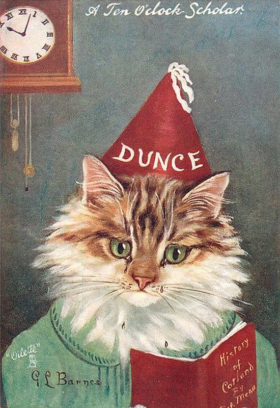 Dunce Cat - 2678 – Impressions2