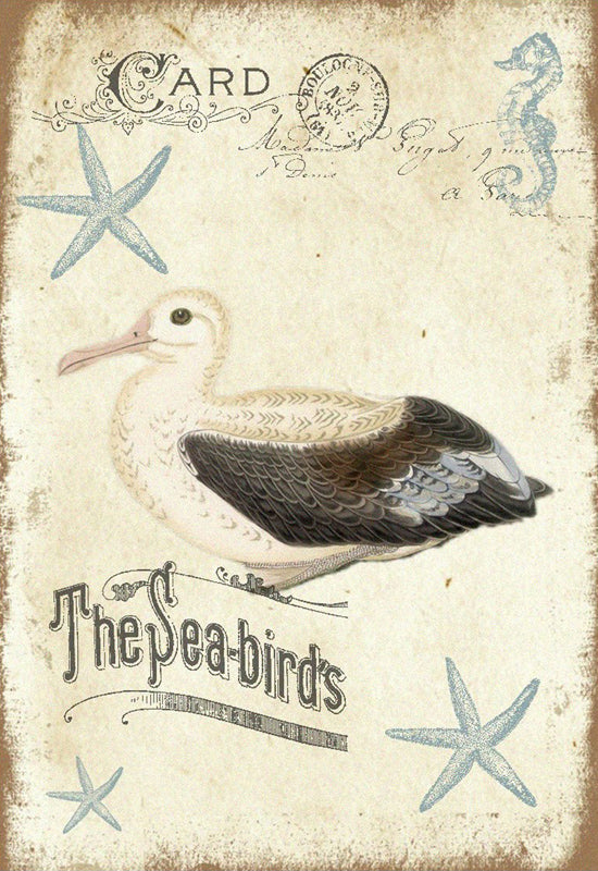 Seashore Seagull - 4838 – Impressions2