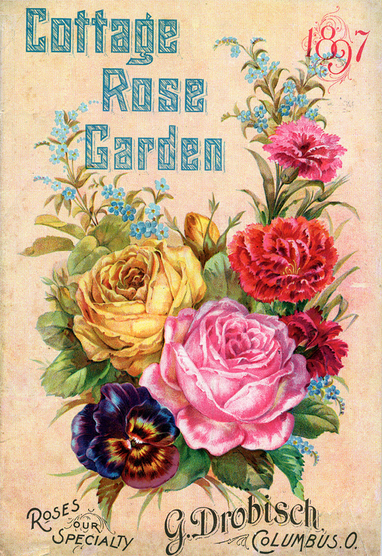 Cottage Rose - 5002 – Impressions2